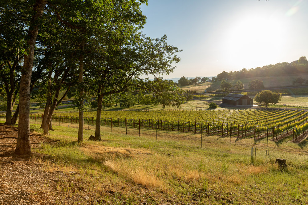 Homesite 2 - Stage Pass - Southern Oregon Vineyard Living